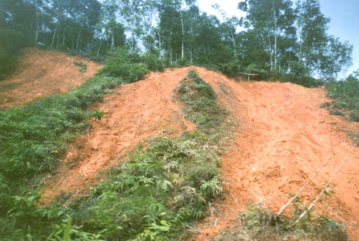 JENIS JENIS TANAH : Pengertian, Karakteristik, Sifat, Manfaat