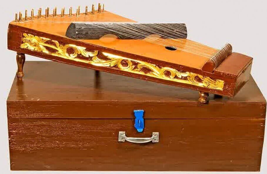 23 Alat Musik Petik Beserta Nama, Penjelasan, dan Gambarnya