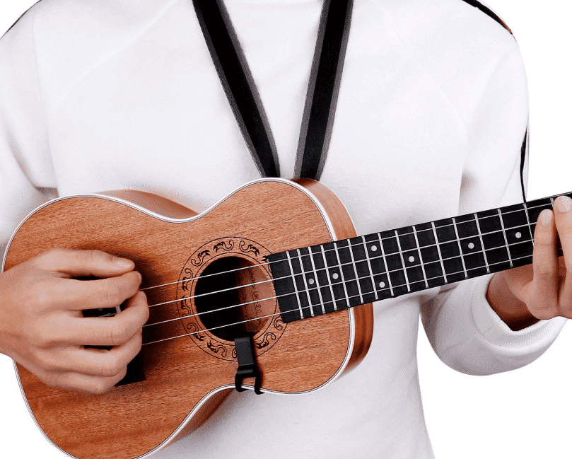 23 Alat Musik Petik Beserta Nama, Penjelasan, dan Gambarnya