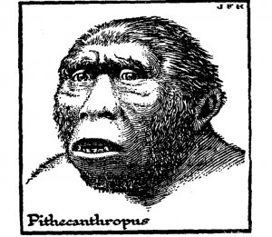 Pithecanthropus Erectus - Thegorbalsla