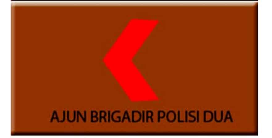 22 Urutan Pangkat Polisi dari Terkecil Sampai Terbesar (Lengkap)