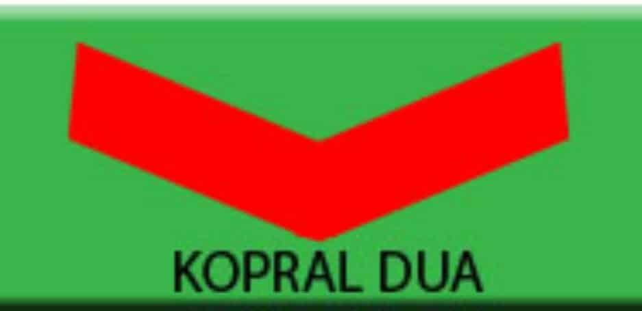 Urutan Pangkat TNI AD, AL, & AU dari Terkecil Sampai Terbesar