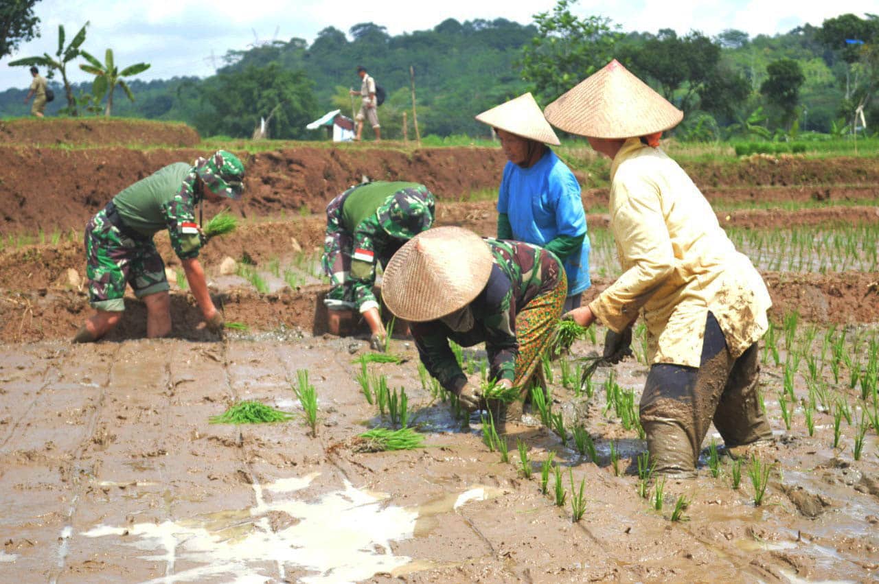 Dapat Ditanam oleh Petani - Thegorbalsla Dapat Ditanam oleh Petani - Thegorbalsla