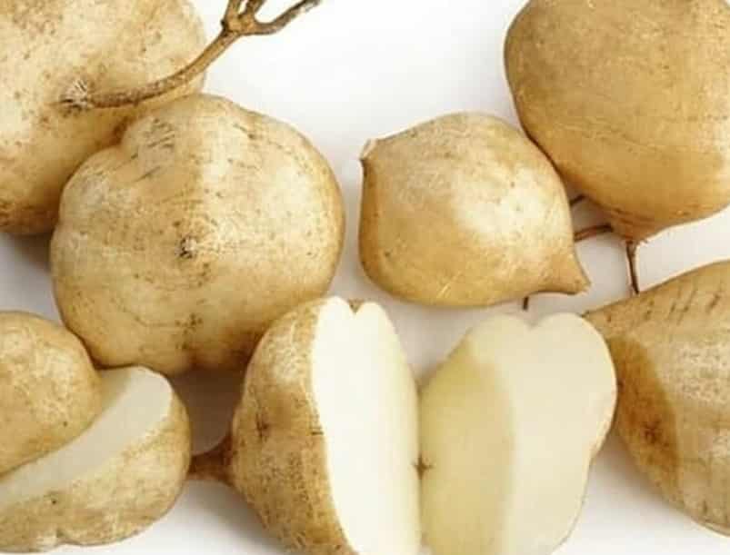 5+ Tanaman Musiman (Lengkap dengan fungsi dan cara menanam)