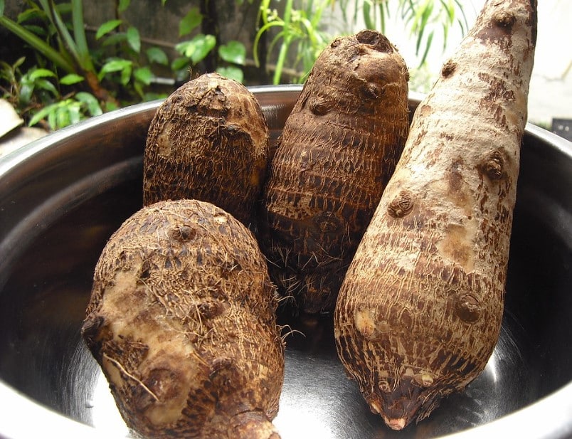 5+ Tanaman Musiman (Lengkap dengan fungsi dan cara menanam)