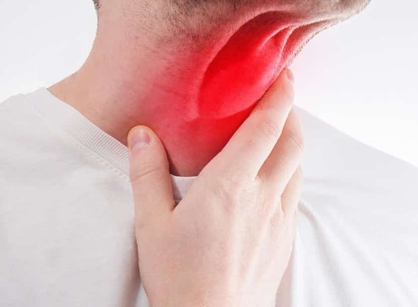 10+ Tanaman Tomat : Sejarah, Klasifikasi, Morfologi, Jenis-jenis dan ...